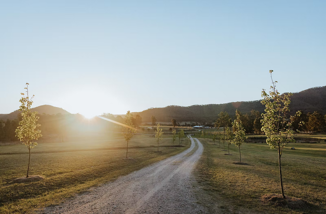 Hera Health Retreat – Hera Performance